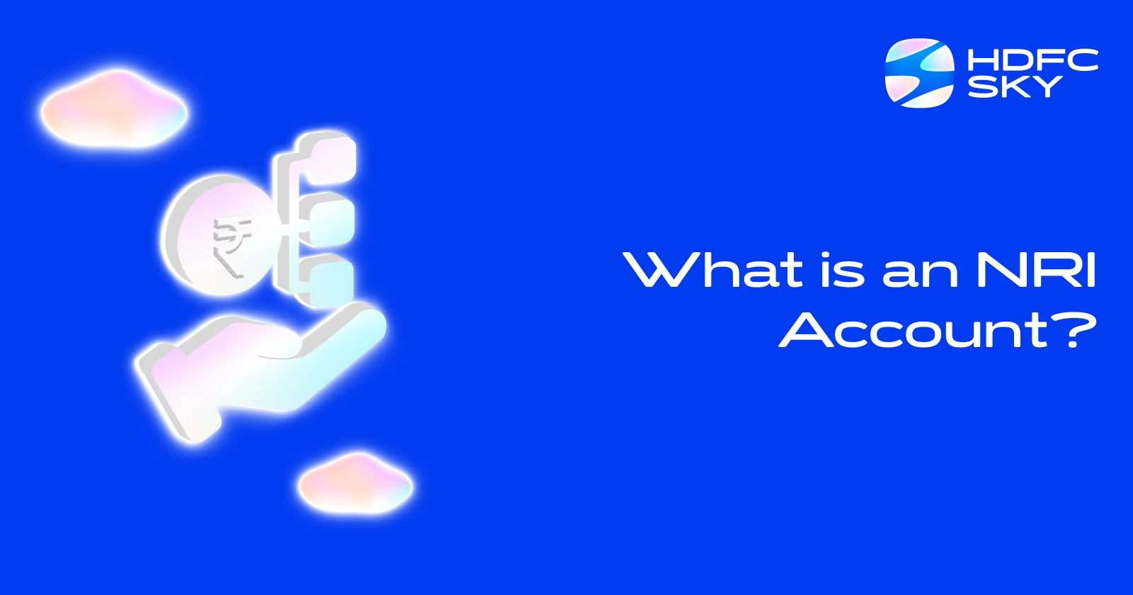 NRI Account - Meaning , Types & Differences