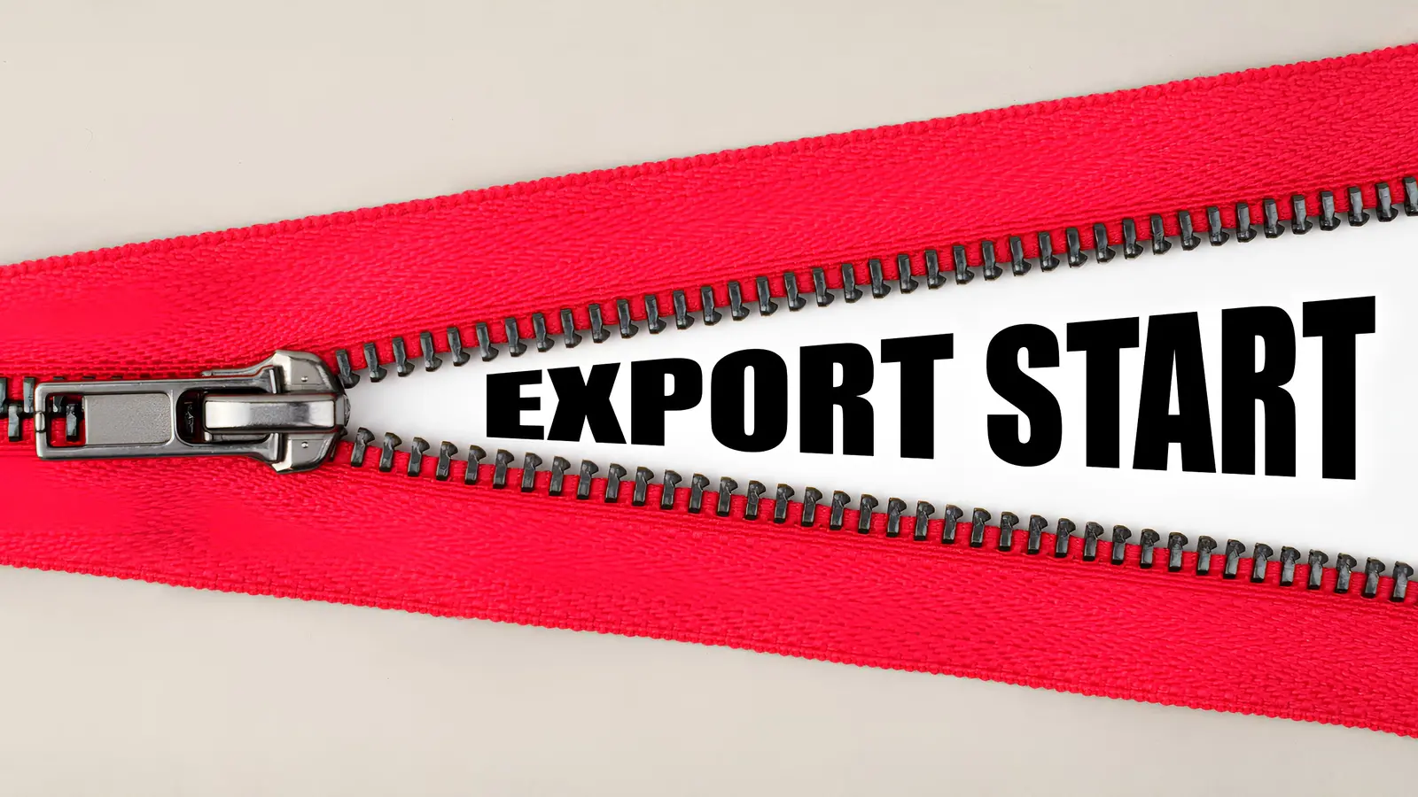 Export Promotion Mission to Reach Cabinet for Approval