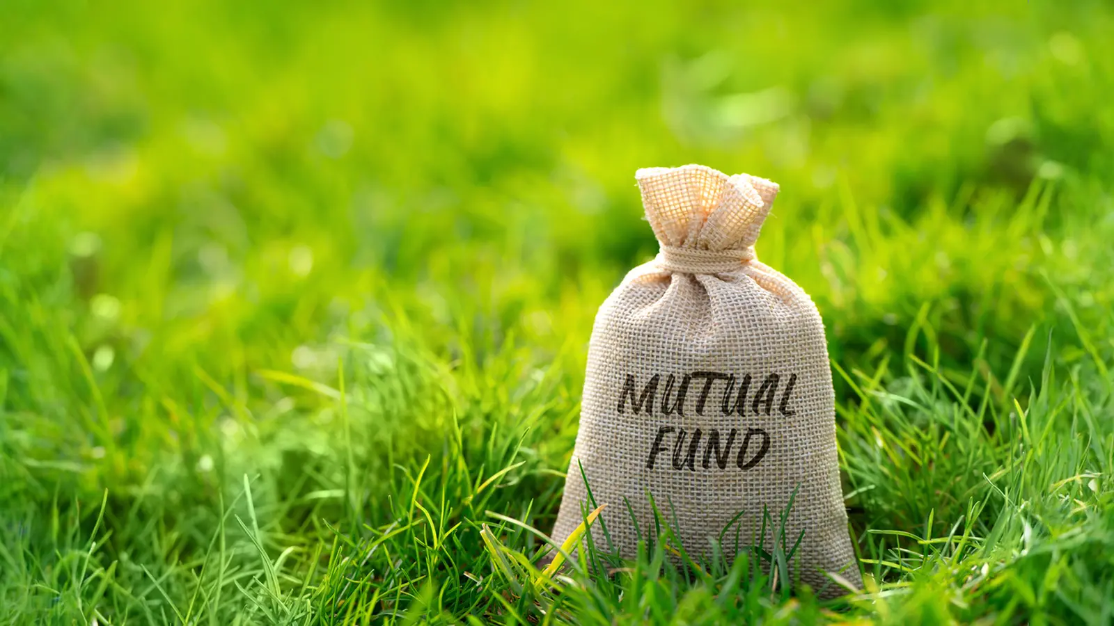 Quant Launches QSIF Sector Rotation Long-Short Fund in India