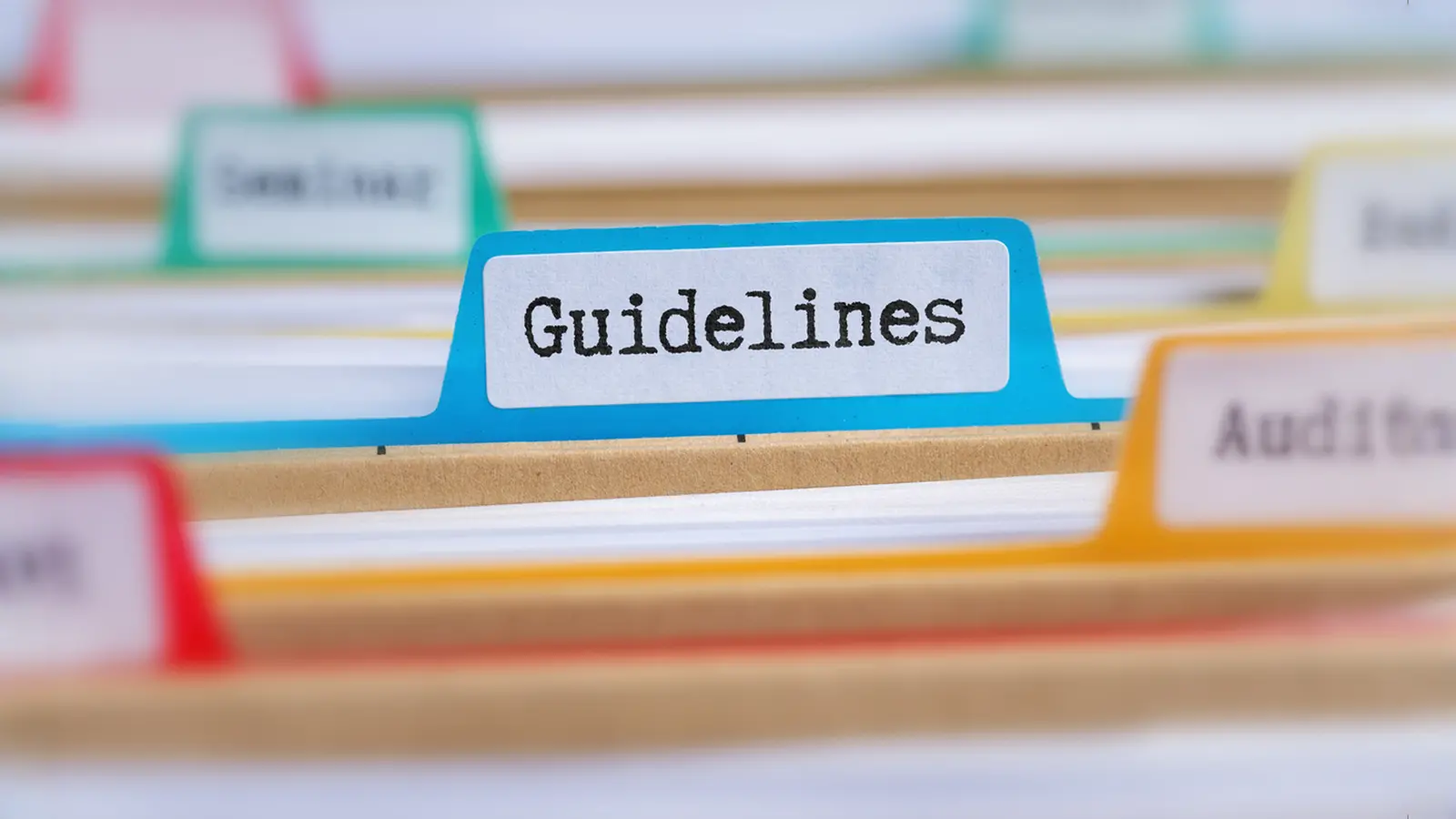 Interest Equalisation & MAI Guidelines Due Next Week: Govt